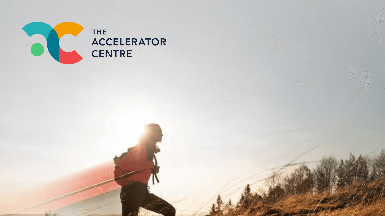 5 Things we learned from the Accelerator Centre's Annual Report - David Johnston Research ...
